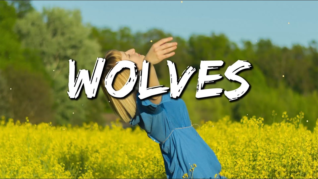 Wolves - Selena Gomez, Marshmello ( Lyrics ) // Viral songs 2022 🍯 Good ...