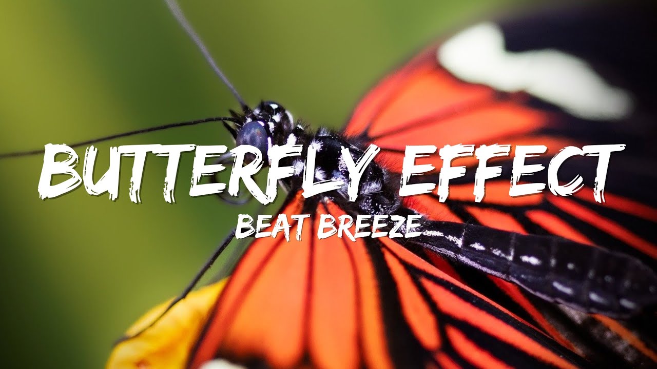 Butterfly Effect (Official Lyric Video) | Emotional Indie Pop Song ...