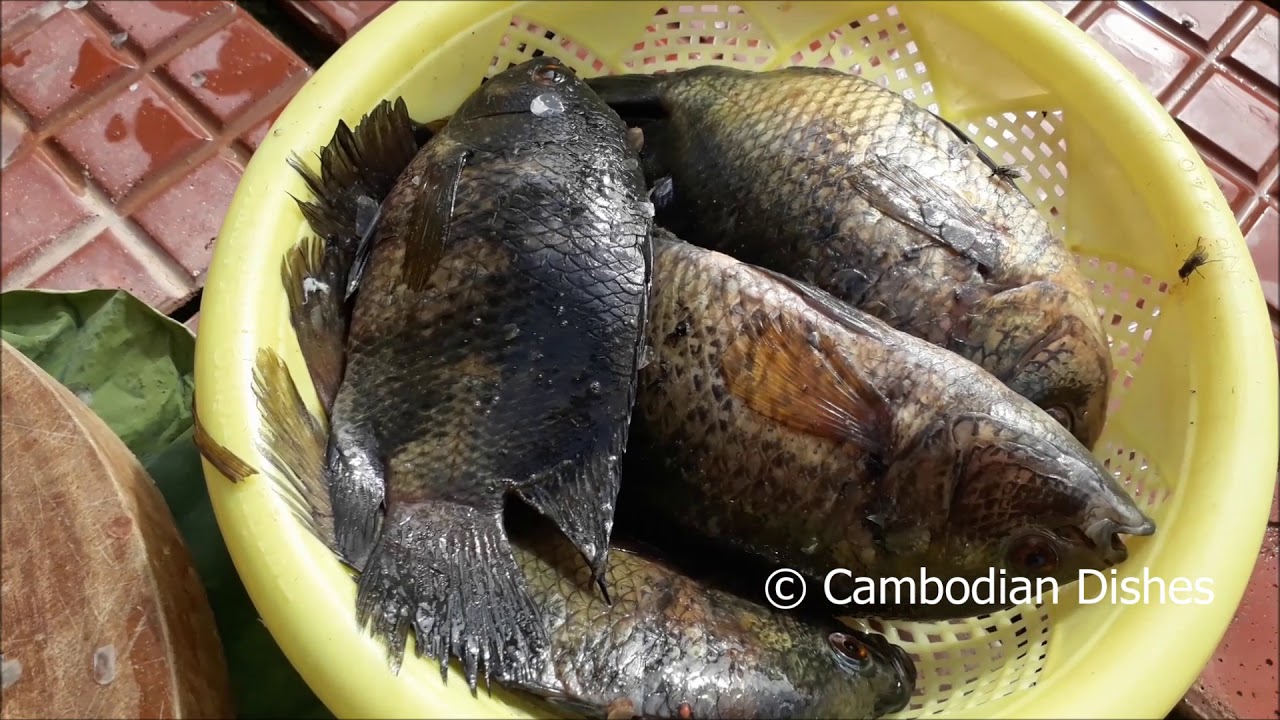 របៀបធ្វើត្រីនៅផ្ទះ | How to Prepare a Whole Fish - YouTube