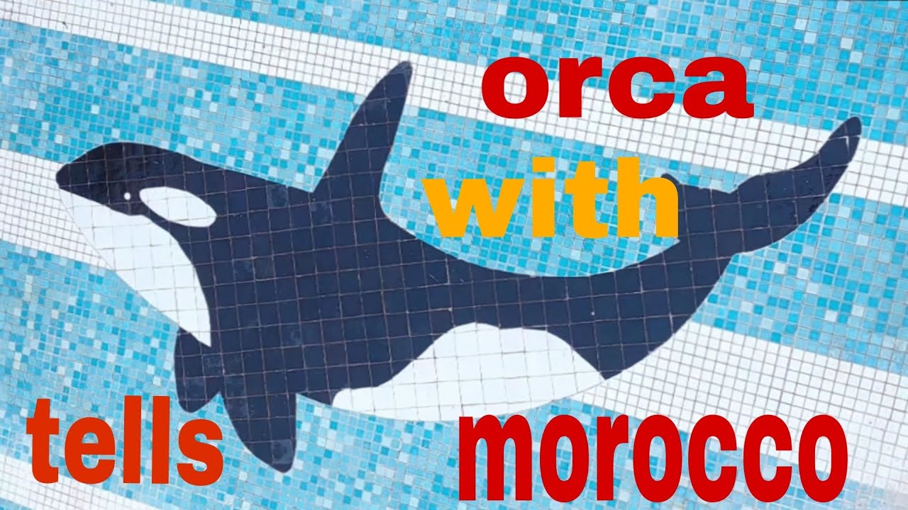 orca with zellige or tills moroccan - YouTube
