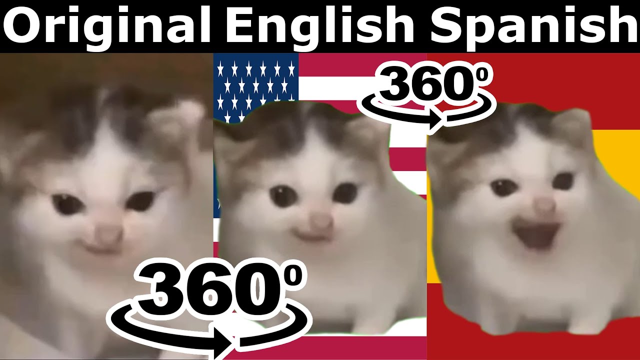 German Cat Meme (Original vs English vs Spanish Versions) 360º - YouTube