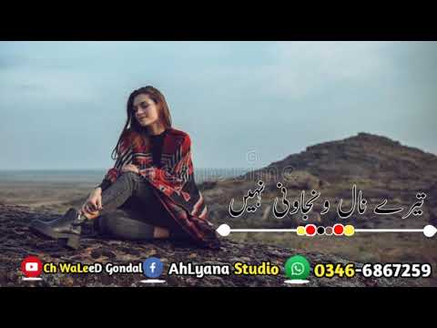 TeRe NaL WnjaWNi Ni ZaMaNa BaHwy RuS JaWy |TaLiB husaiN DarD |Punjabi gazal