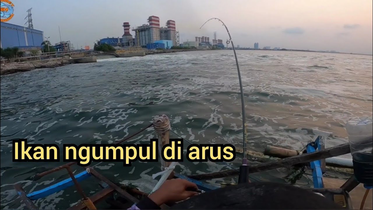 Pasti bawa hasil ‼️ spot yang bikin pemula ketagihan mancing||arus ...