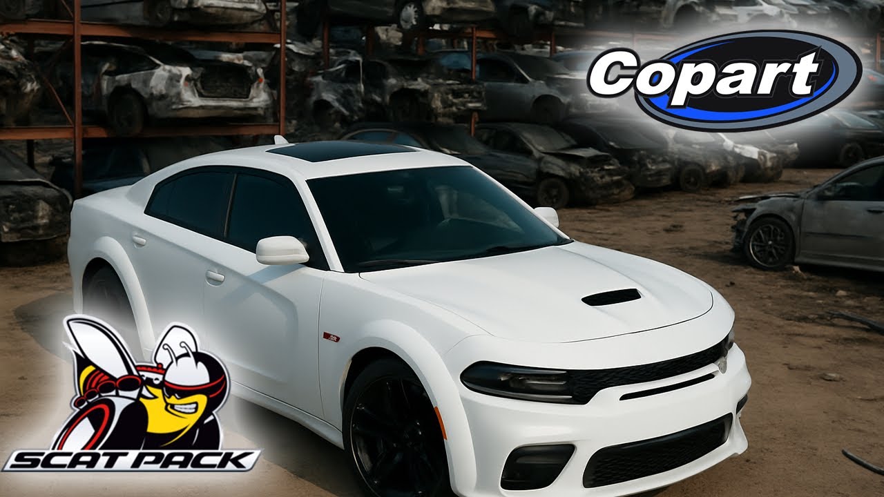 REBUILDING A WIDE BODY SCAT PACK!!! ( FINAL PART) - YouTube