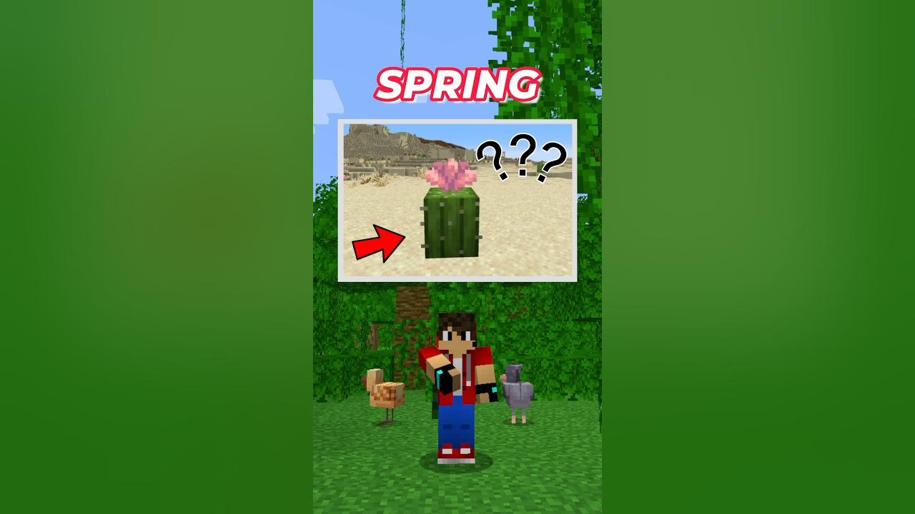 ⛏️⚒️ 5 COSAS que NO SABÍAS de la SPRING DROP en MINECRAFT 🌸 #shorts - YouTube