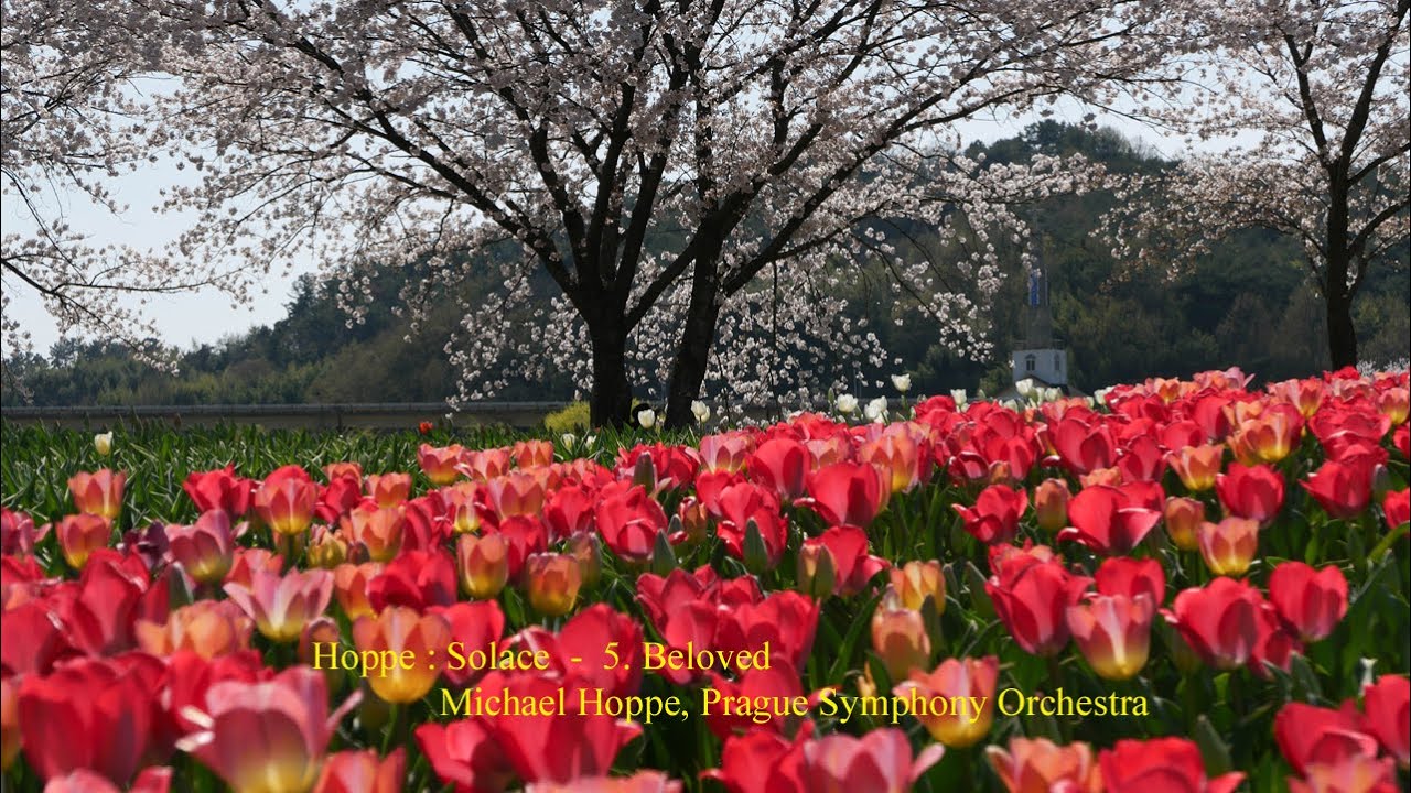 Hoppe : Solace - 5. Beloved - YouTube