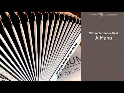 Zero Sette B.29 Klangprobe Akkordeon/Accordion - YouTube