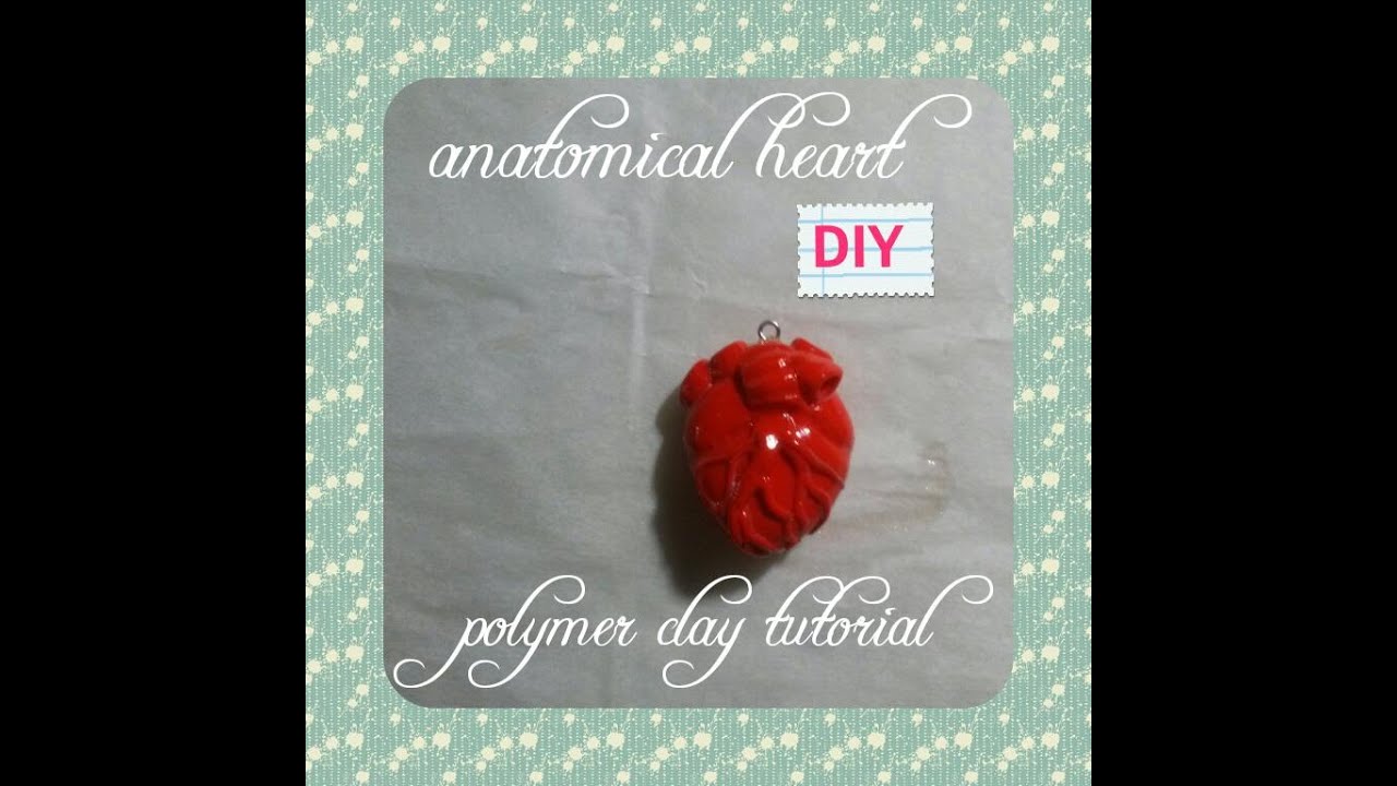 anatomical heart-polymer clay tutorial.Easy,simple/DIY - YouTube