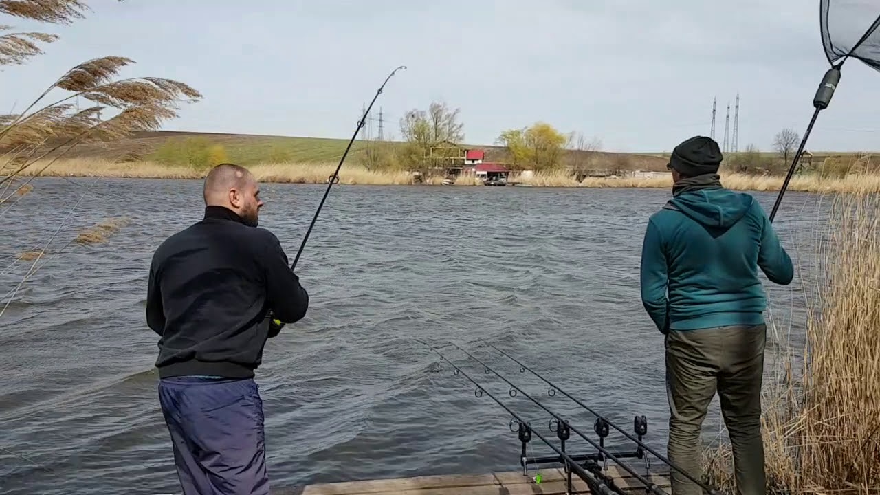 Jurnalul pescarului- drill crap comun 13 kg la balta Lazar Alexandria ...