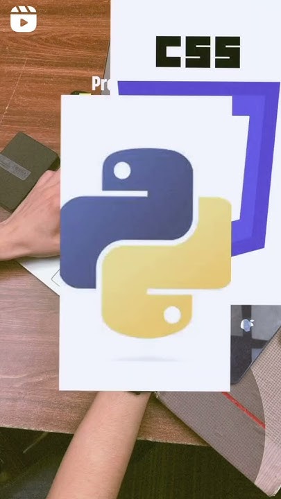 Programming Lover ️ ️ Python Pythonshorts Shorts Youtubeshorts