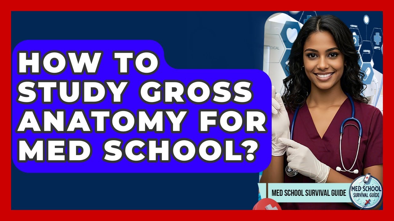 How To Study Gross Anatomy For Med School? - Med School Survival Guide ...