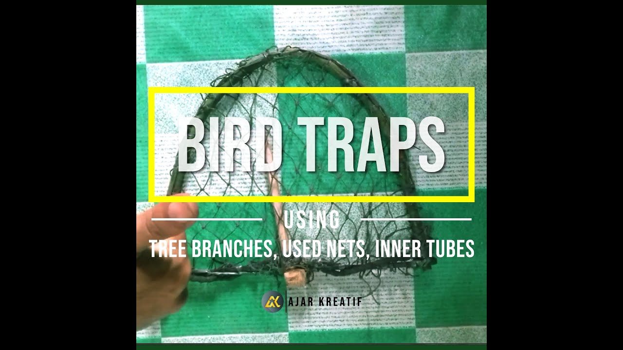BIRD TRAPS USING TREE BRANCHES, USED NETS, INNER TUBES @AJARKREATIF ...