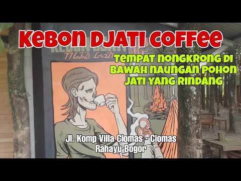 Kebon Djati Coffee - tempat nongkrong di bawah naungan pohon jati yang ...