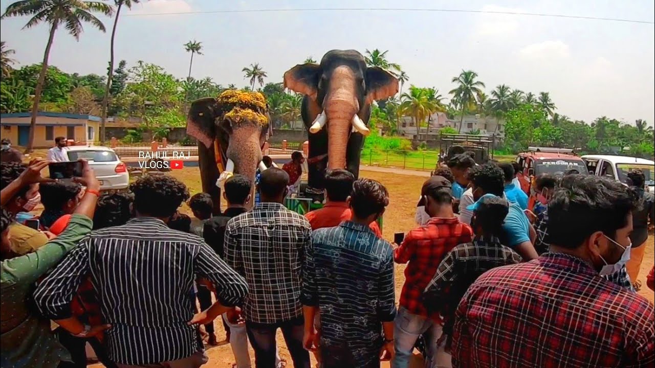 മാണിക്യം മഹാദേവനും പേരൂർ ശിവനും ഒന്നിച്ചപ്പോൾ രസകരമായൊരു കാഴ്ച്ച ...