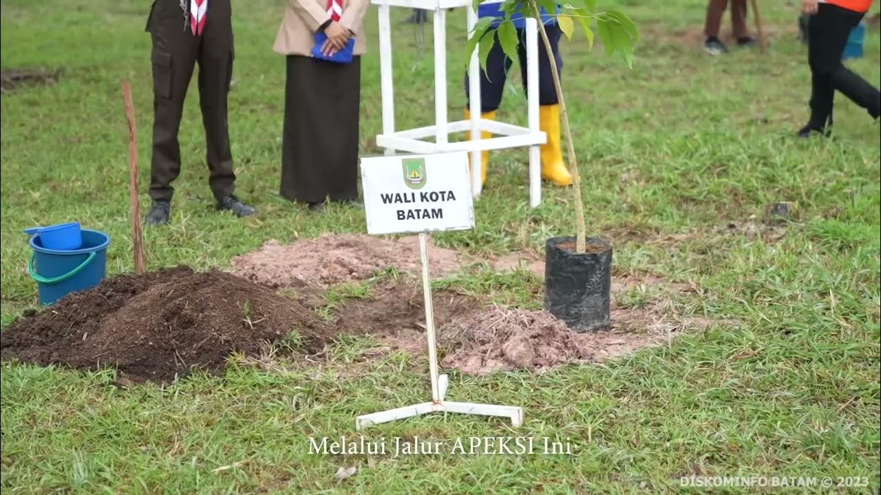 24 WALI KOTA TANAM POHON BERSAMA DI BATAM - YouTube