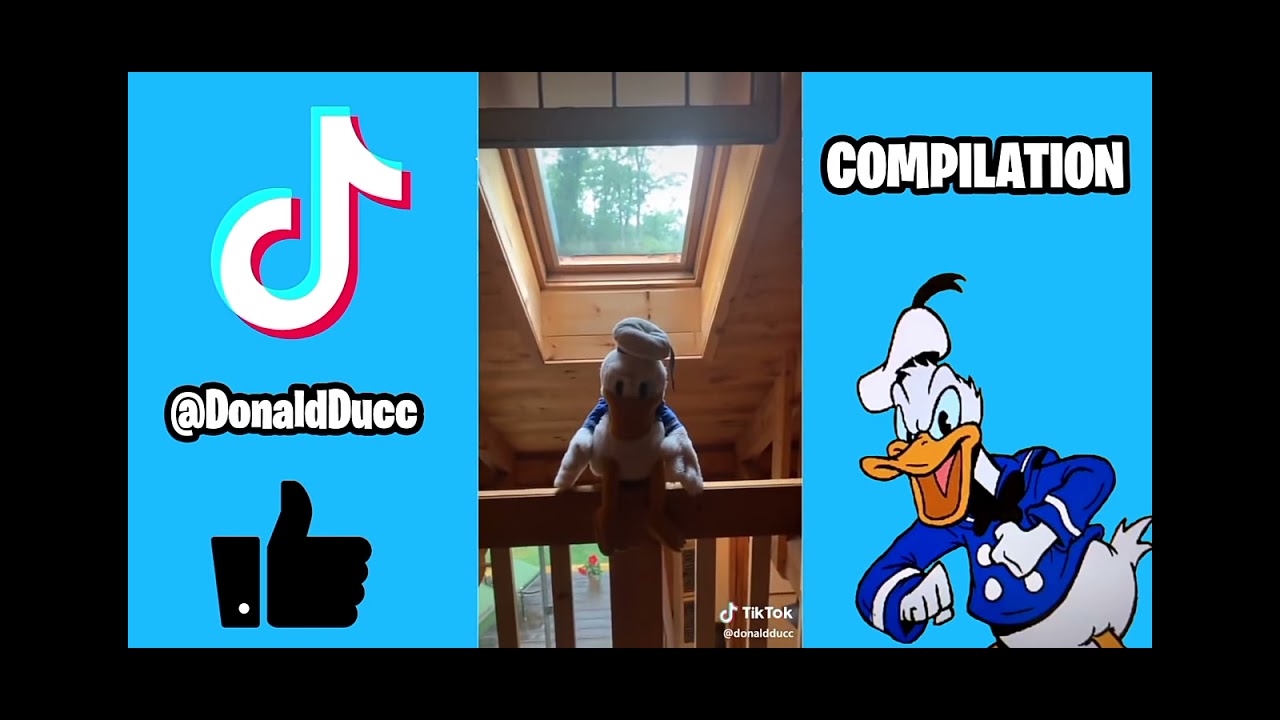 donaldducc falling the doun - YouTube