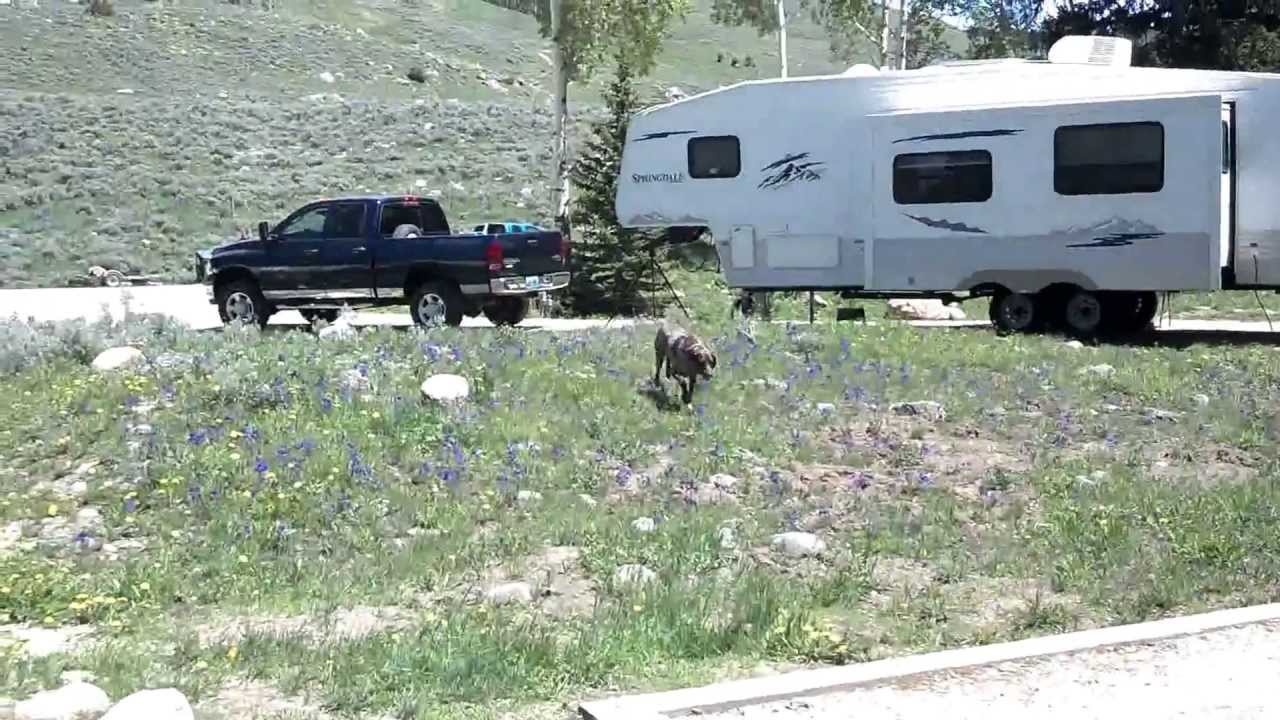 Shell creek campground - YouTube