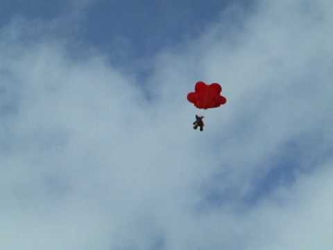 TEDDY BEAR PARACHUTE TRAINING - YouTube