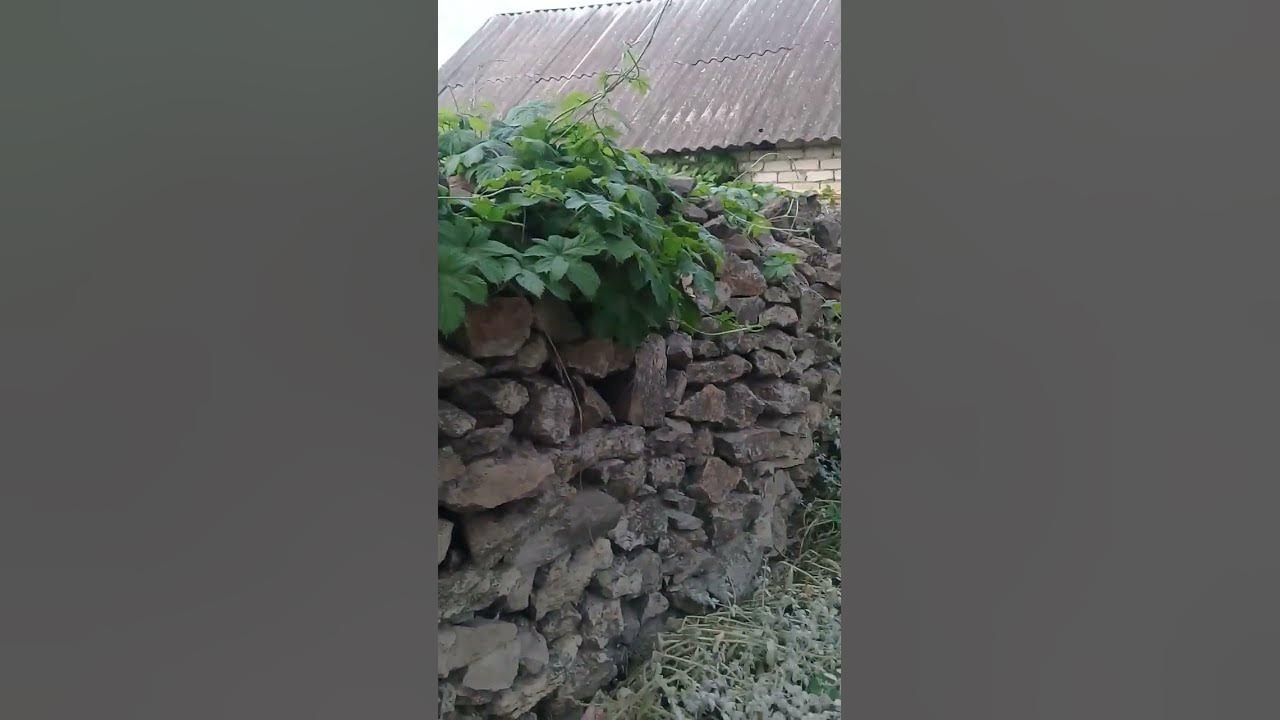 Старинная казачья изгородь возле урюпинского дома на переулке