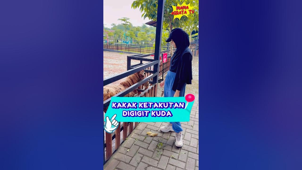 Kakak ketakutan di gigit kuda ‼️ - YouTube