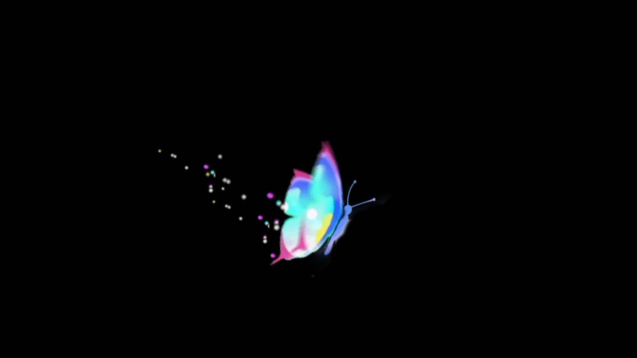 colour butterfly black screen | butterfly black screen video | lighting ...