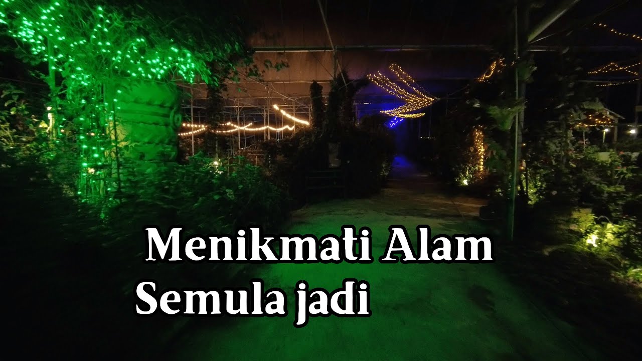 SECRET NIGHT GARDEN CAMERON HIGHLAND - YouTube