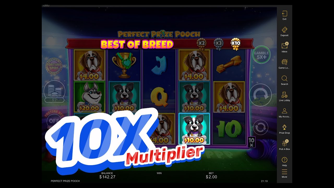 10X Multiplier POOCH Bonus on PERFECT PRIZE POOCH Slot!! - YouTube