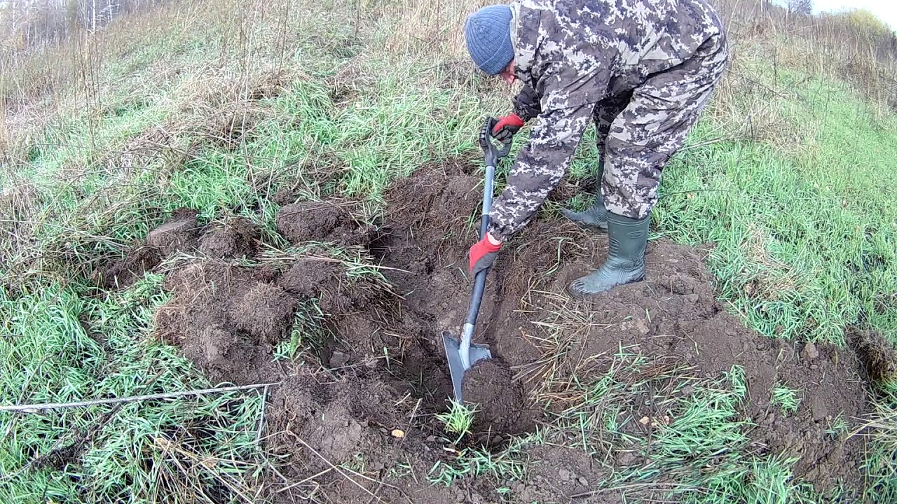 Clone PI w копаю с ним в первый и последний раз... - YouTube