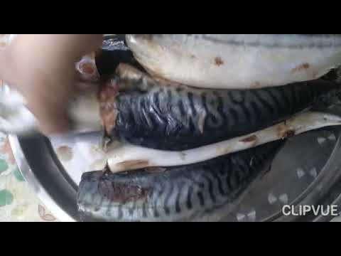 Balığın buzluqda saxlanılması( mənim pratik üsulum).👍👍👍