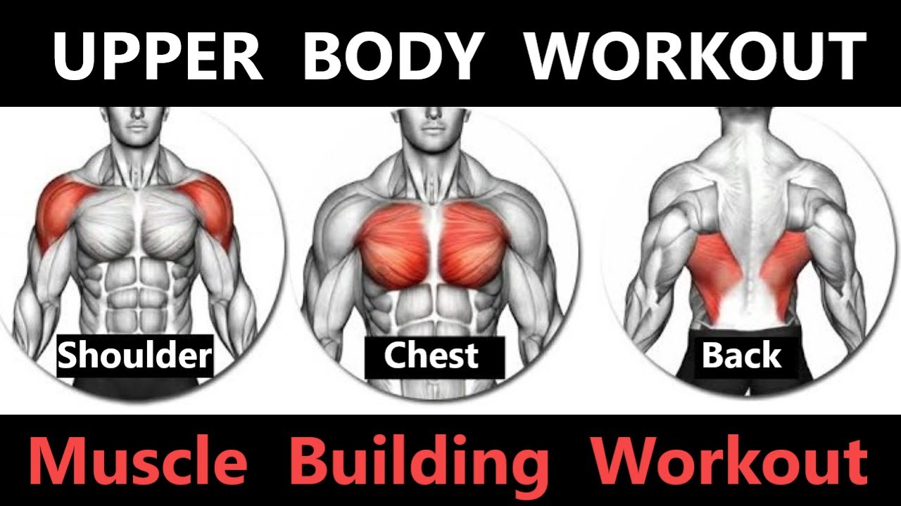 UPPER BODY WORKOUT | MUSCLE BUILDING WORKOUT | SMITH MACHINE WORKOUT ...