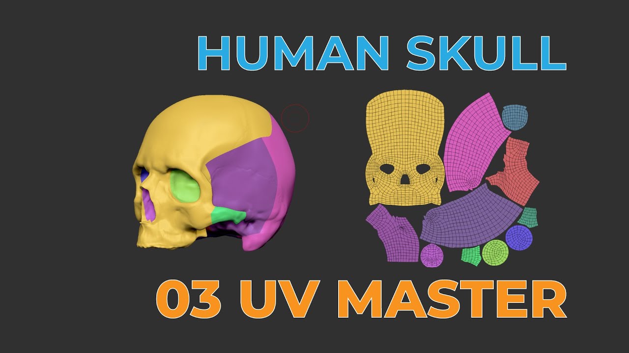 03 Human Skull 03 Making polygroups and using UV Master plugin - YouTube