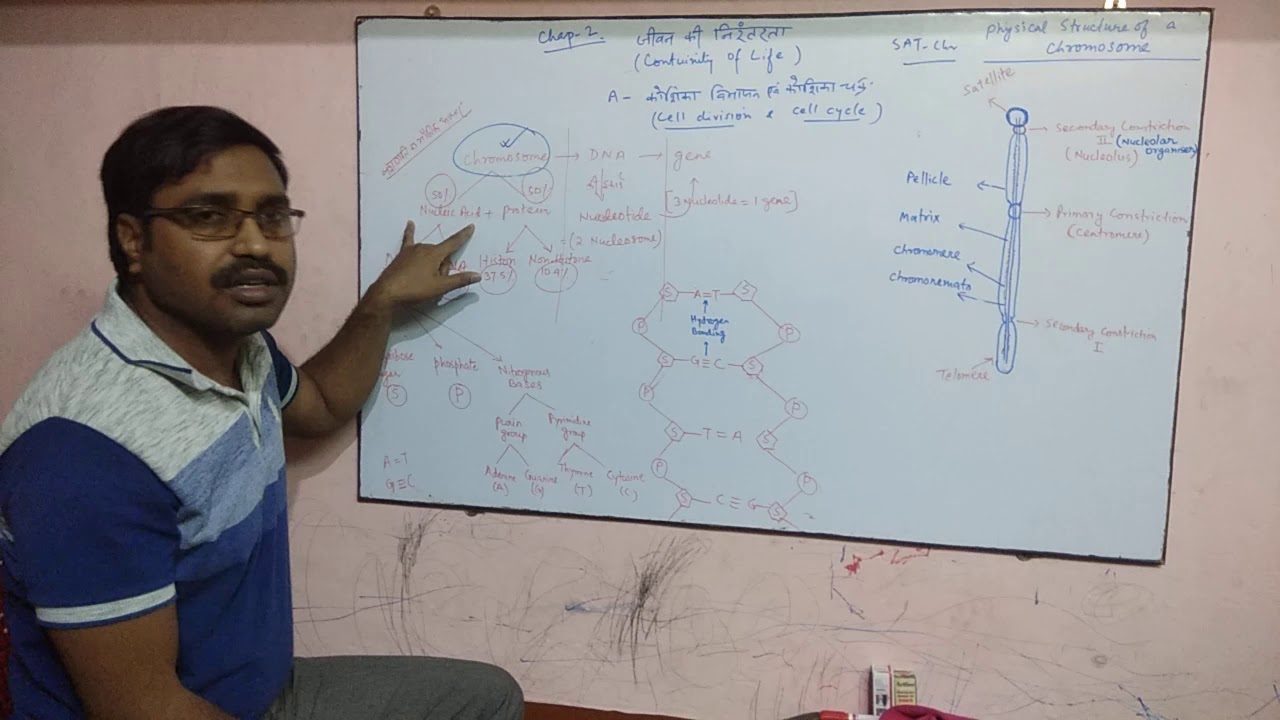 Cell Division Class 10 WB YouTube cell-division-class-10-wb-youtube