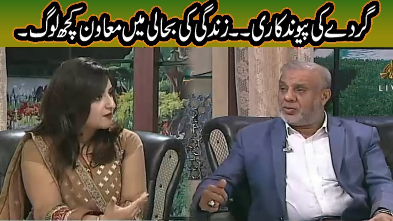 Subh E Nau 24 April 2019 Morning Show Part On PTV News - YouTube