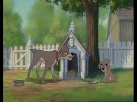 Scamp Can't Wait To Be King - YouTube