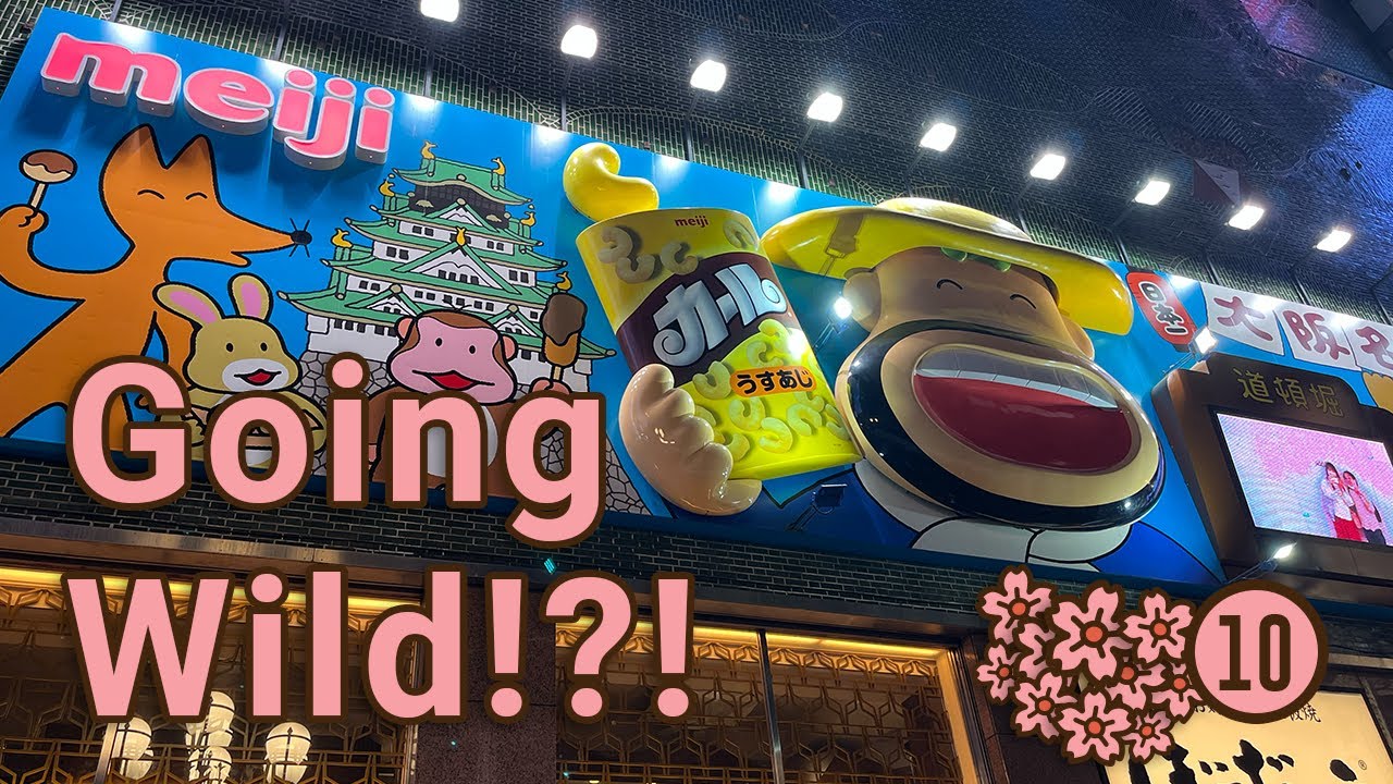Going Wild in Japan! Visiting Osaka and Nara | Let's go to Japan ...