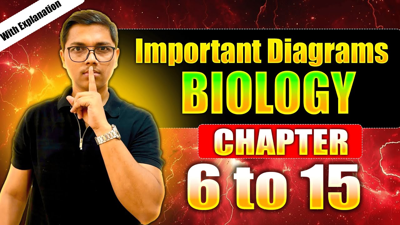 Most Important Diagrams + Explanation Biology Chapter 6 to 15 By ...