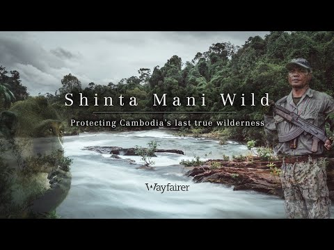 Shinta Mani Wild | Protecting Cambodia's last true wilderness | A Wayfairer short film