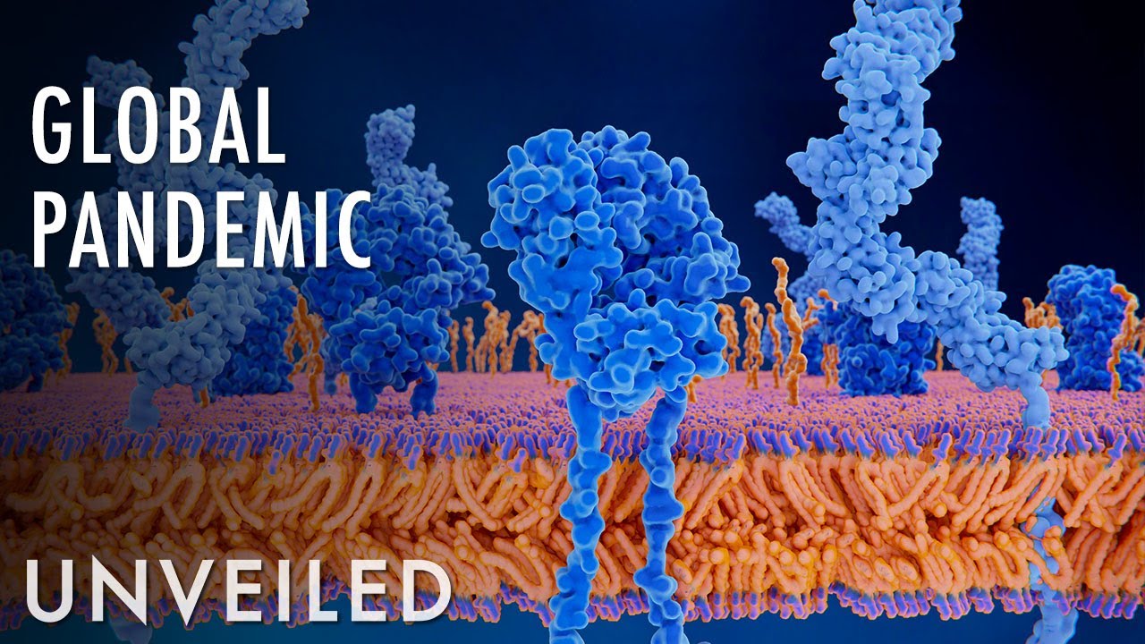 What If We Cured The Common Cold Unveiled what-if-we-cured-the-common-cold-unveiled