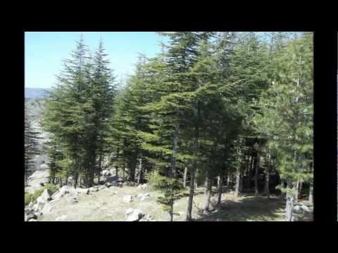 Kamber Şahin - Andırın Aşkı