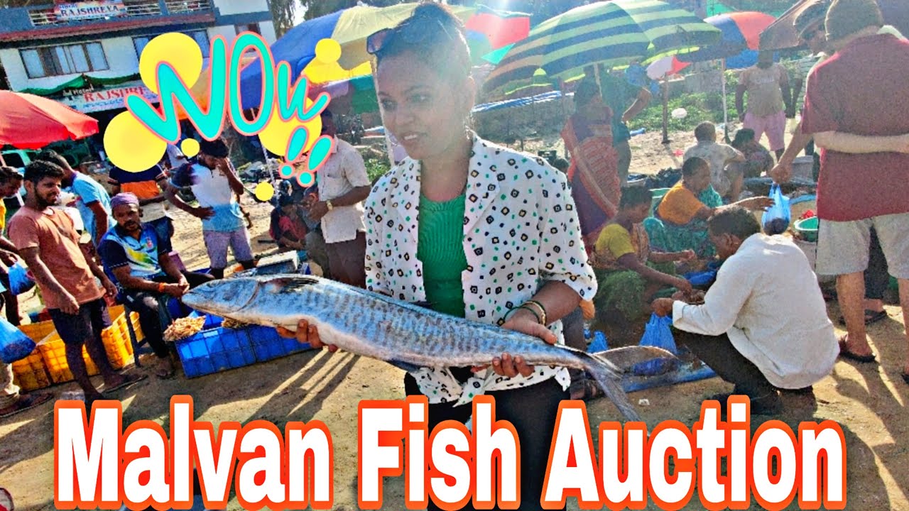 Malvan Fish Auction | Malvan Fish Market | Fishing at Malvan Sindhudurg ...