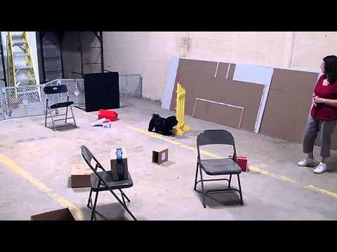 NW June 17 Desi Pen Floor