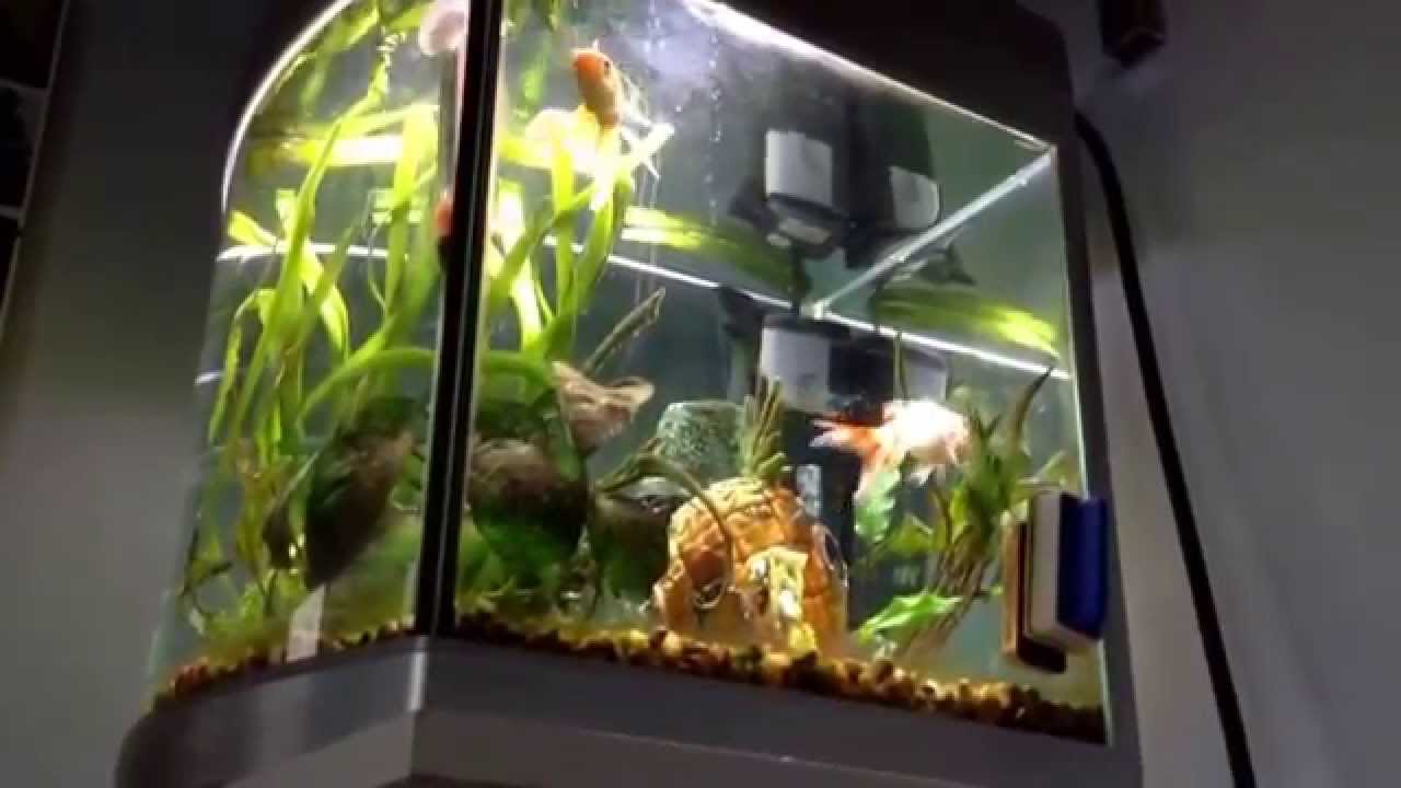 Fart song in real life - YouTube