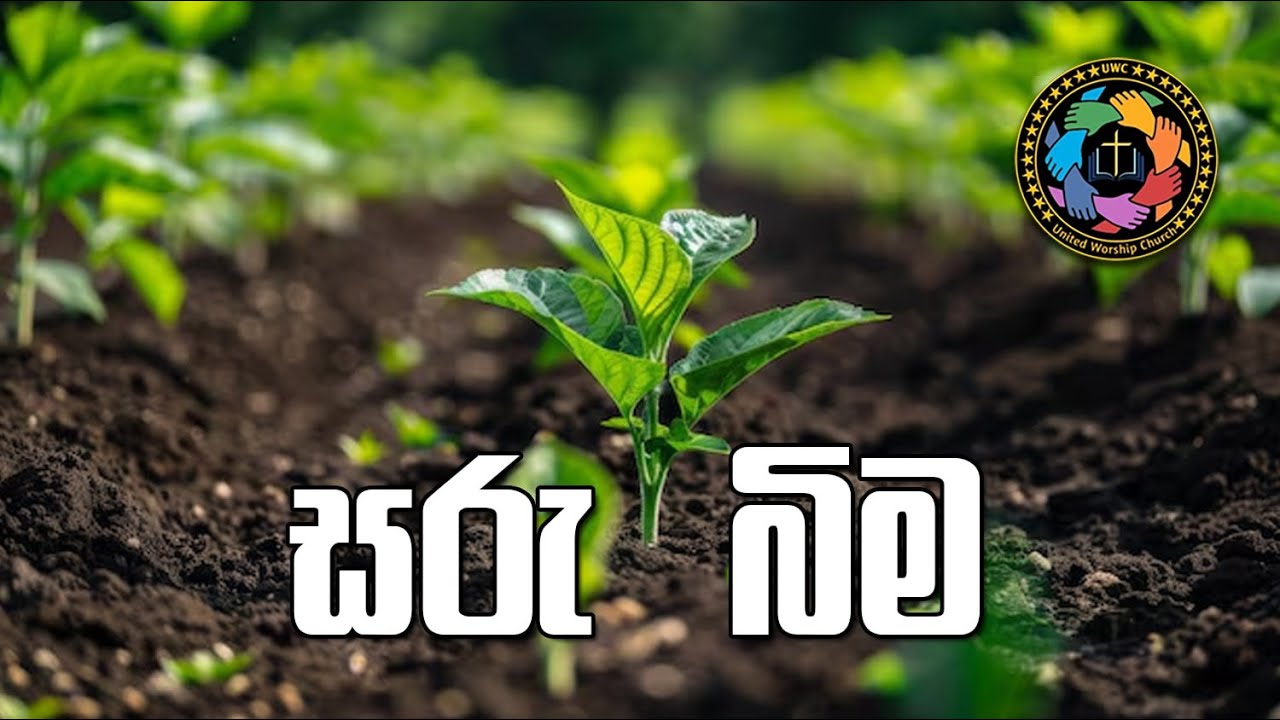 සරැ බිම - Saru Bima Sunday Service UWC 28 September 2025 - YouTube