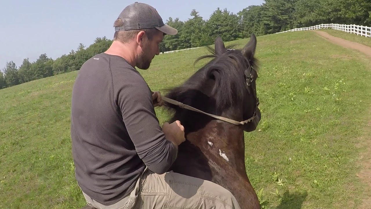 Horse Back Riding Adventure - YouTube