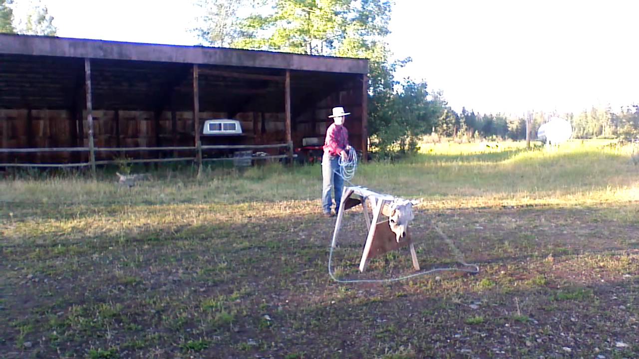 Ranch Roping Turn over shots - YouTube