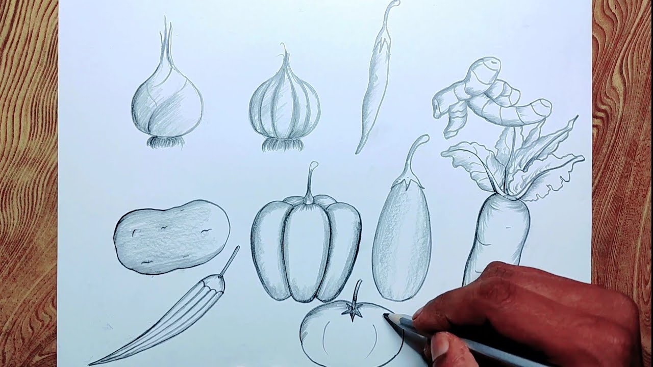 Different types of vegetables drawing/ How to draw different types ...