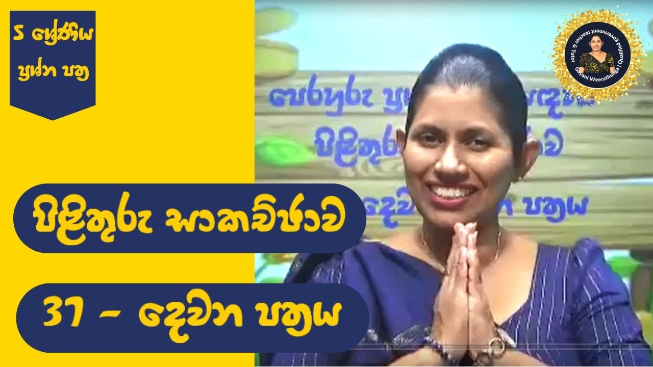 Grade 5 Paper class for Scholarship Examination 2024 | Paper No 37 ...