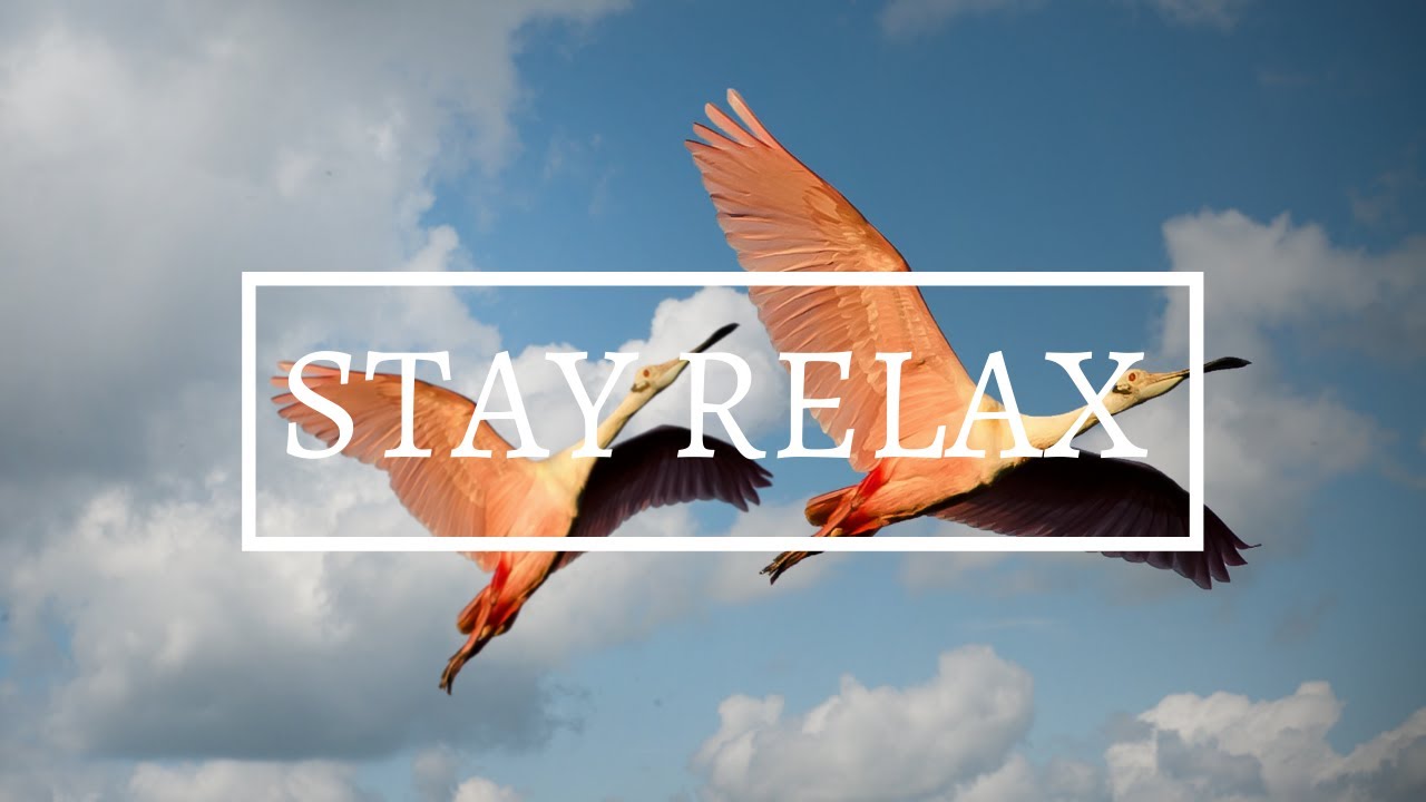 STAY RELAX - Music For Studying, Concentration and Work - YouTube