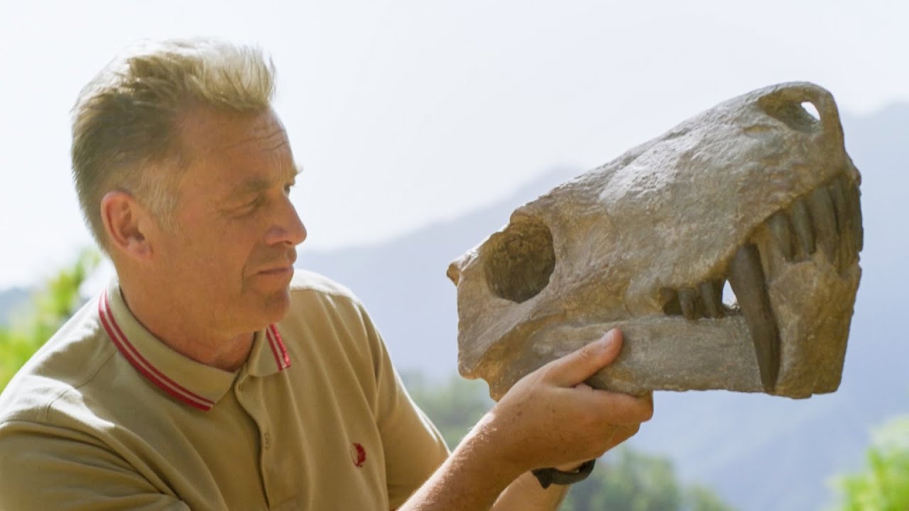 Prehistoric Super Predators and the Blaze that Killed Them | Earth ...