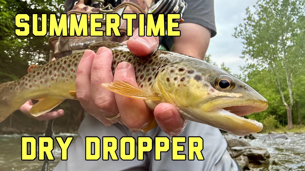 How to Fish Dry Dropper Rig| Fly Fishing for Wild Brown Trout - YouTube